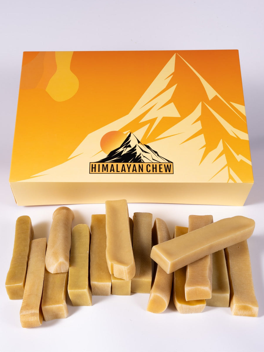 15 x Medium Himalayan Yak Dog Chews – Long-Lasting Natural Treats for ...