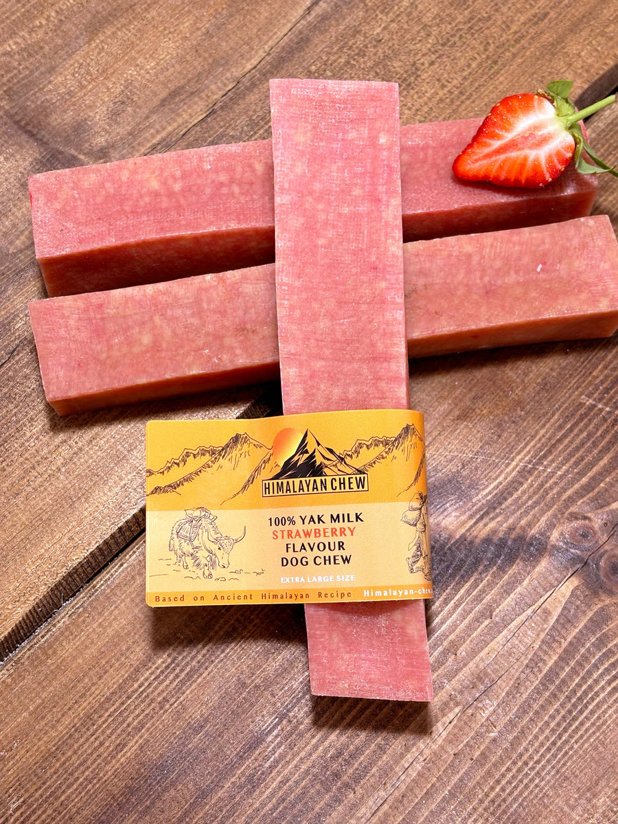 Himalayan Yak Dog Chew | Strawberry – Himalayan Chew