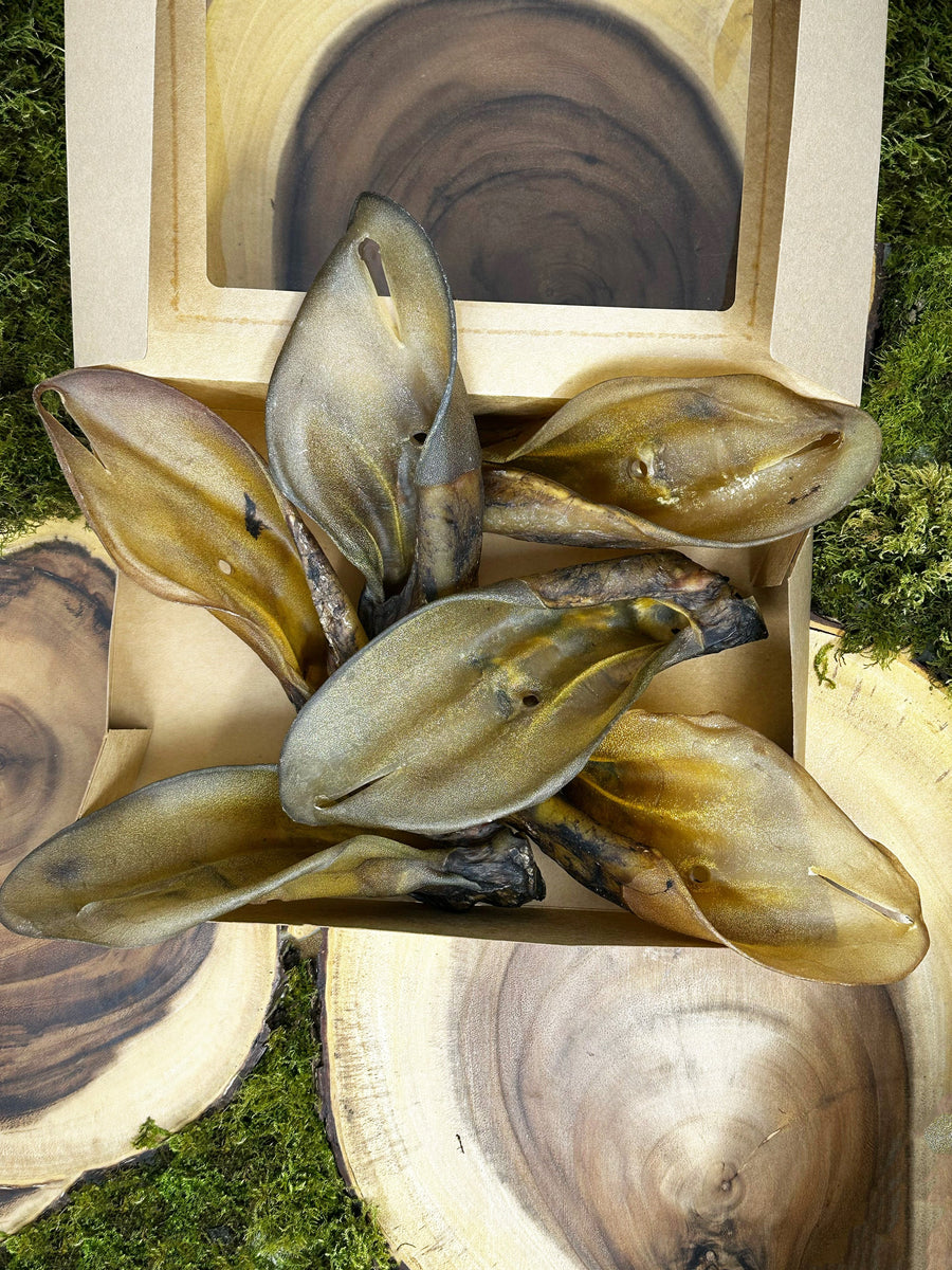 Beef Ears Chew Box – Himalayan Chew